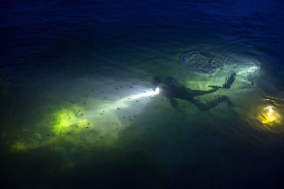 Snorkeling at Night: Tips for First-Timers - OpenWaterHQ