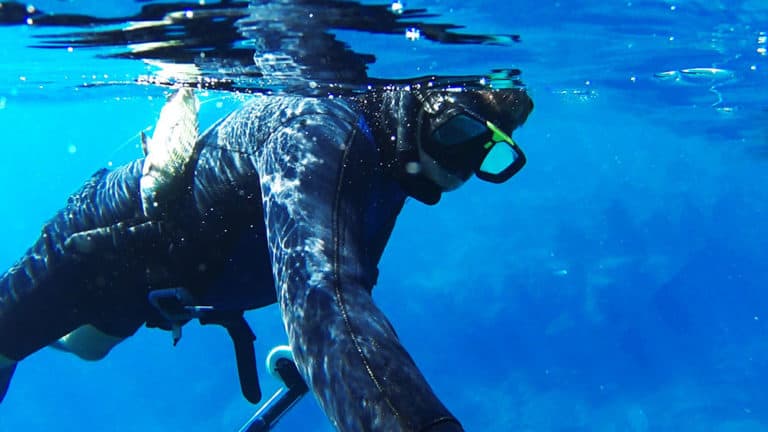 Best Freediving Weight Belt Buying Guide - OpenWaterHQ