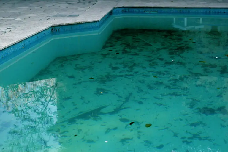 When Is a Pool Unsafe to Swim In? What You Should Know - OpenWaterHQ