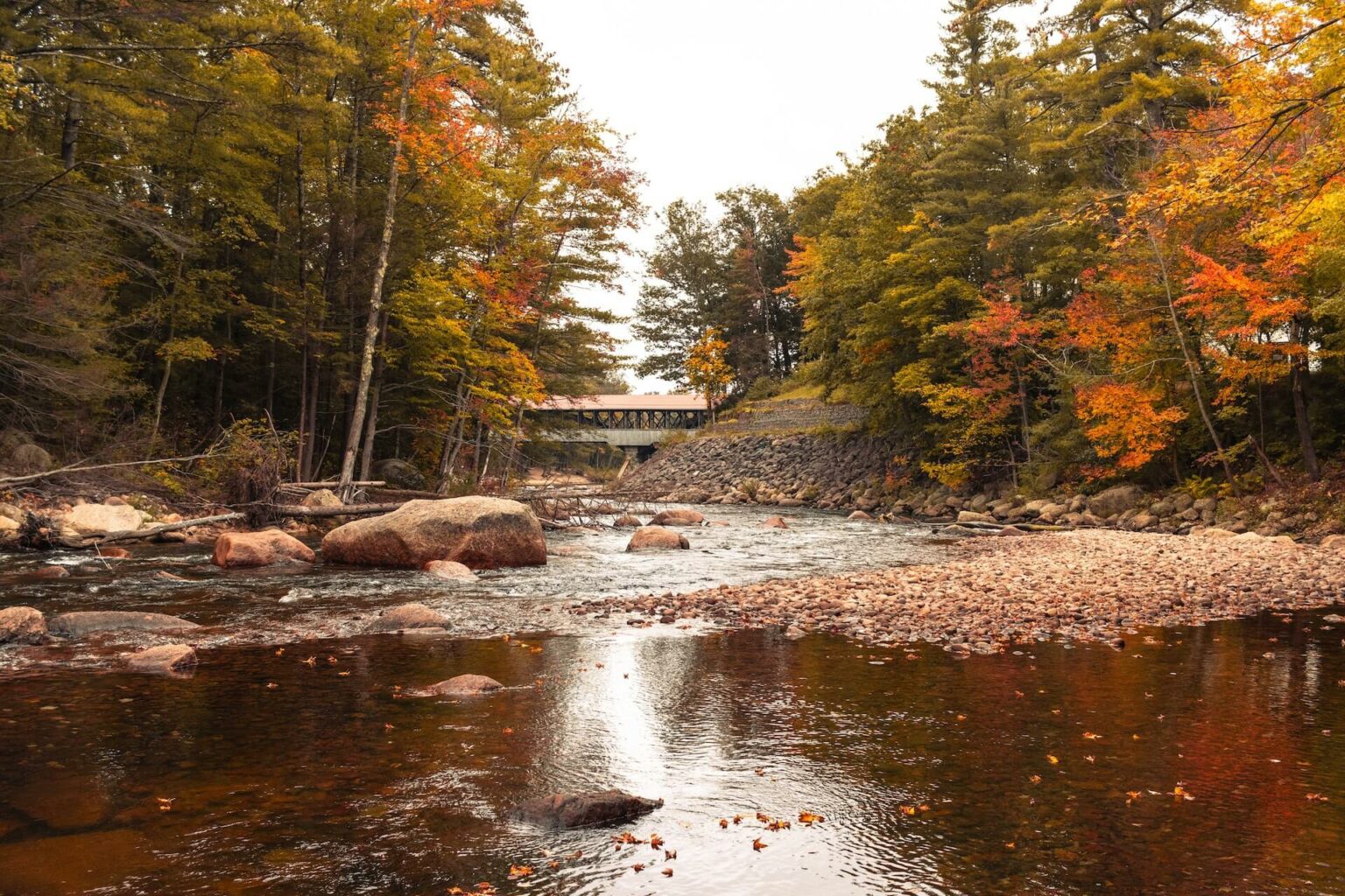 Is It Safe to Swim in a Creek? What You Should Know - OpenWaterHQ