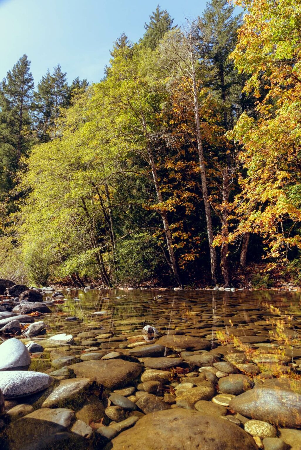 Is It Safe to Swim in a Creek? What You Should Know - OpenWaterHQ